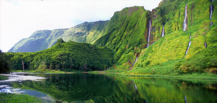 dentrodabiblia: flores dentrodabiblia: flores